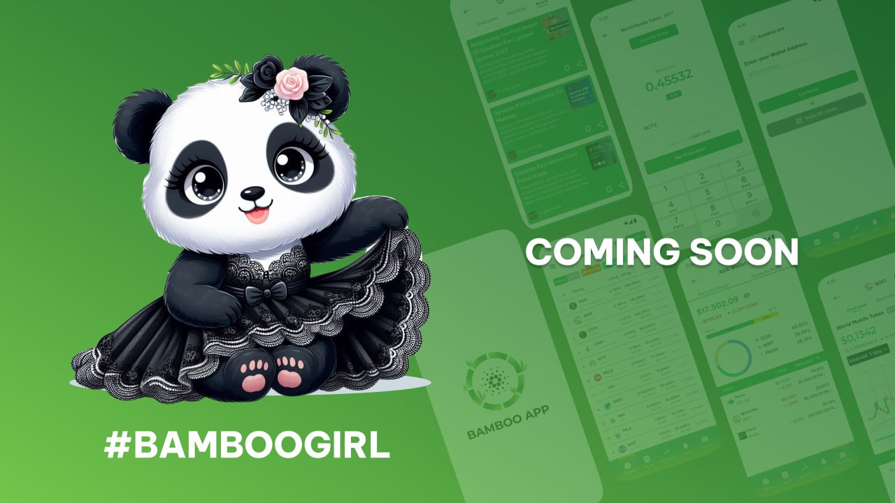 Testnet Bamboo App – ADA Bamboo