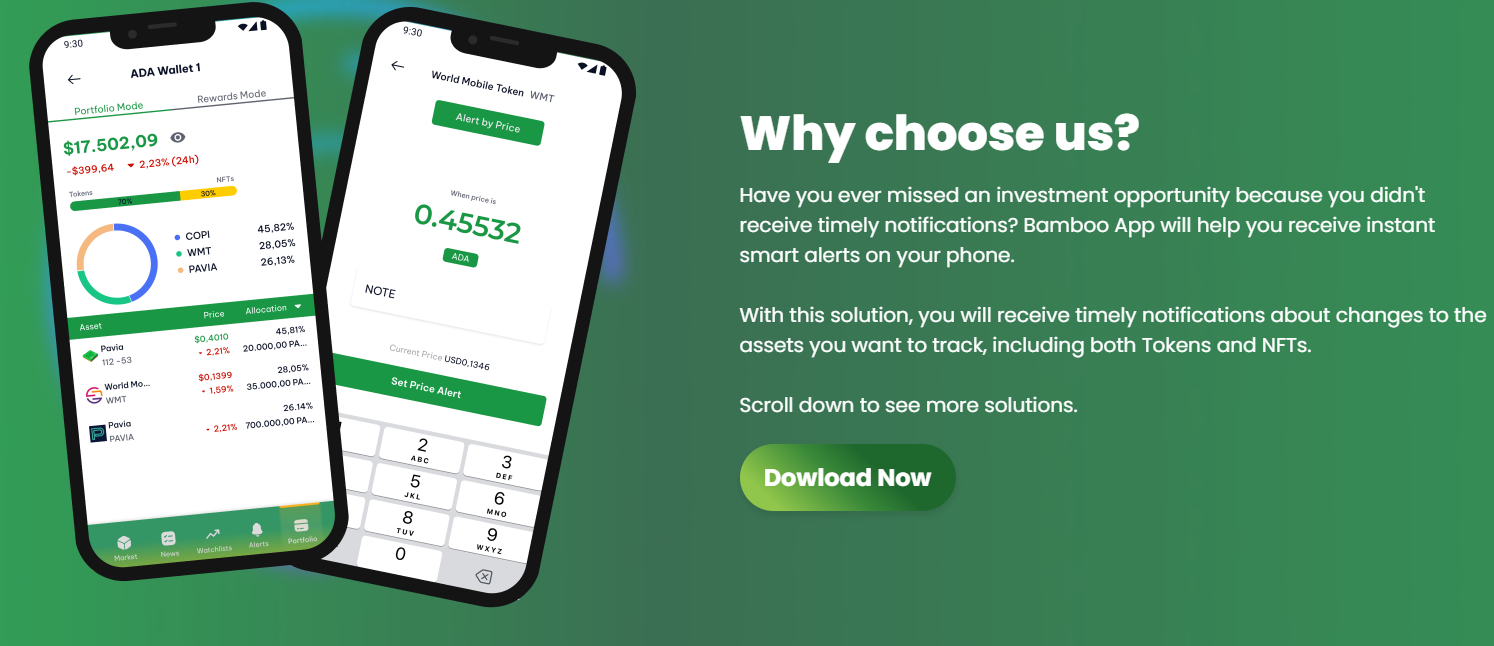 Website chính thức của Bamboo App – ADA Bamboo