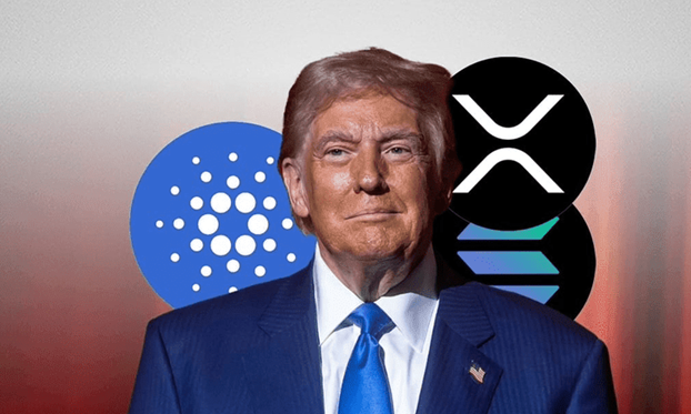 Tổng thống Donald Trump Chọn Cardano (ADA) Là Một Phần Của Dự Trữ Tiền ...